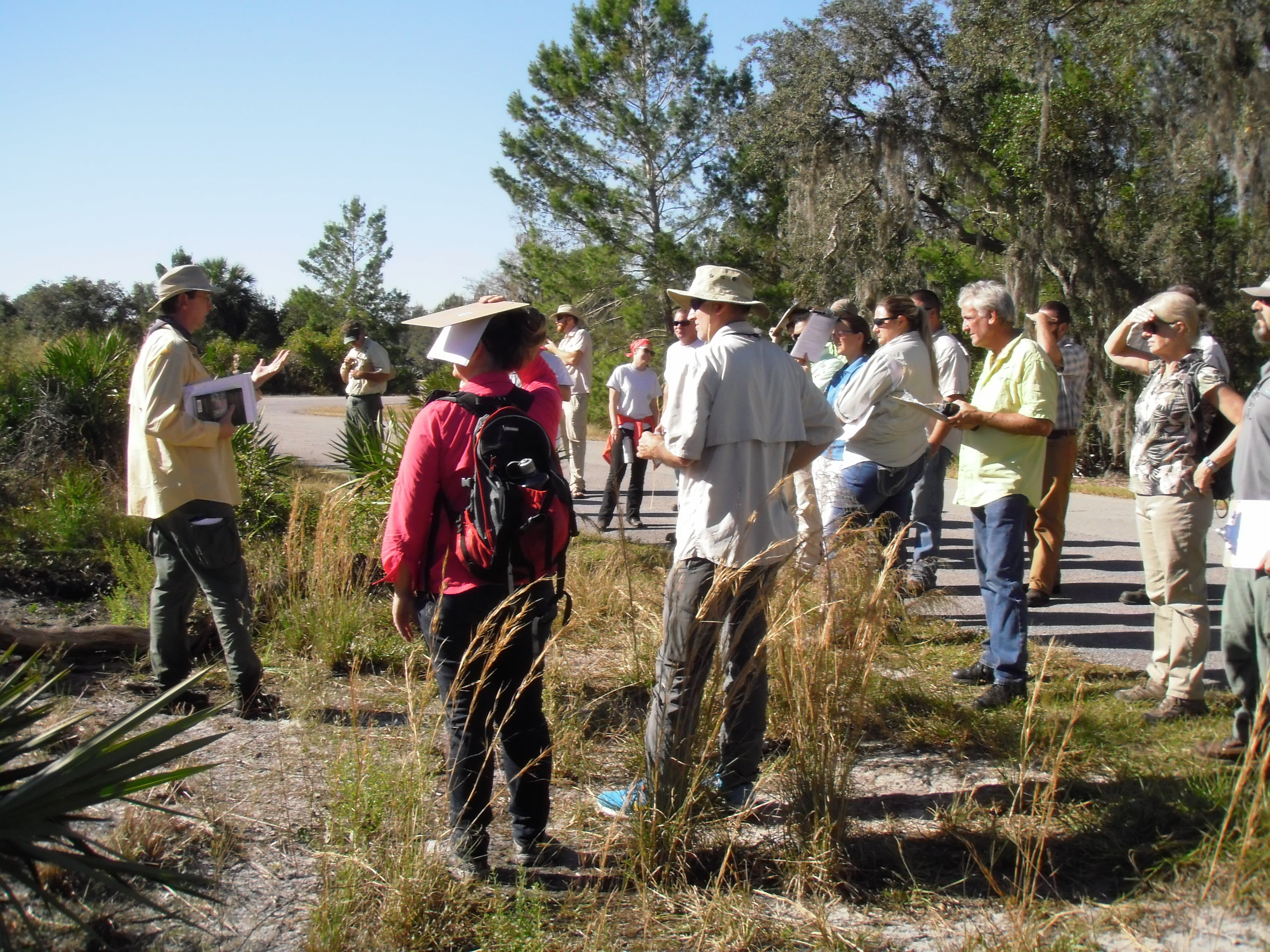 Suncoast Cooperative Invasive Species Management Area - Florida ...