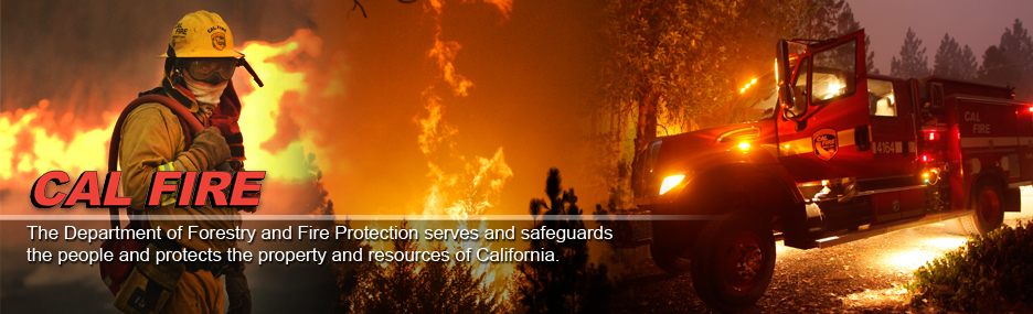 California Department of Forestry and Fire Protection org