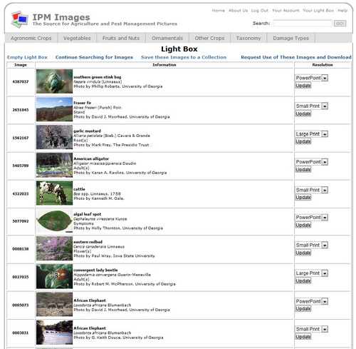 BugwoodIDS:Light box - Bugwoodwiki