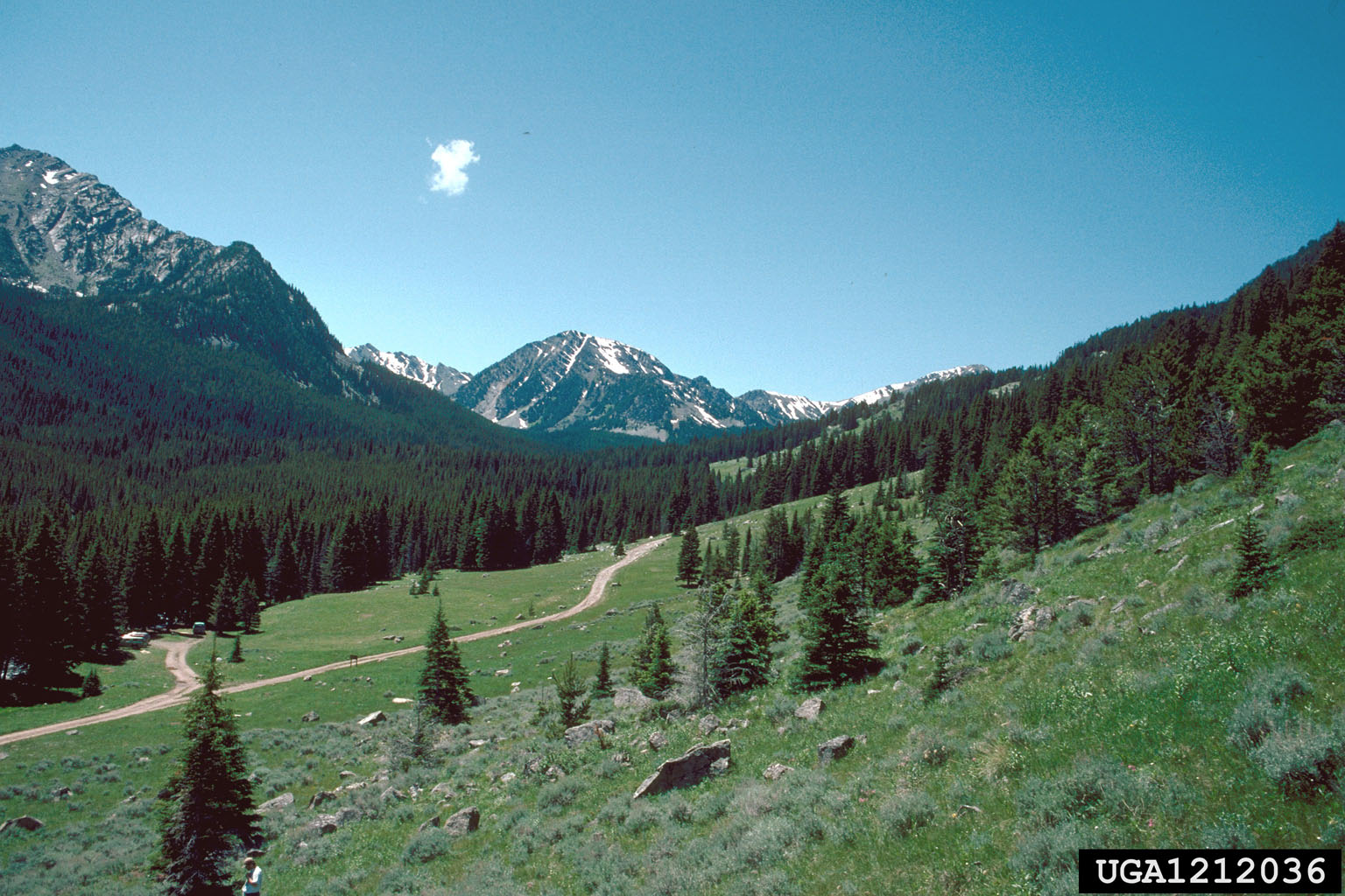 Synonym for Mountains (mountain)