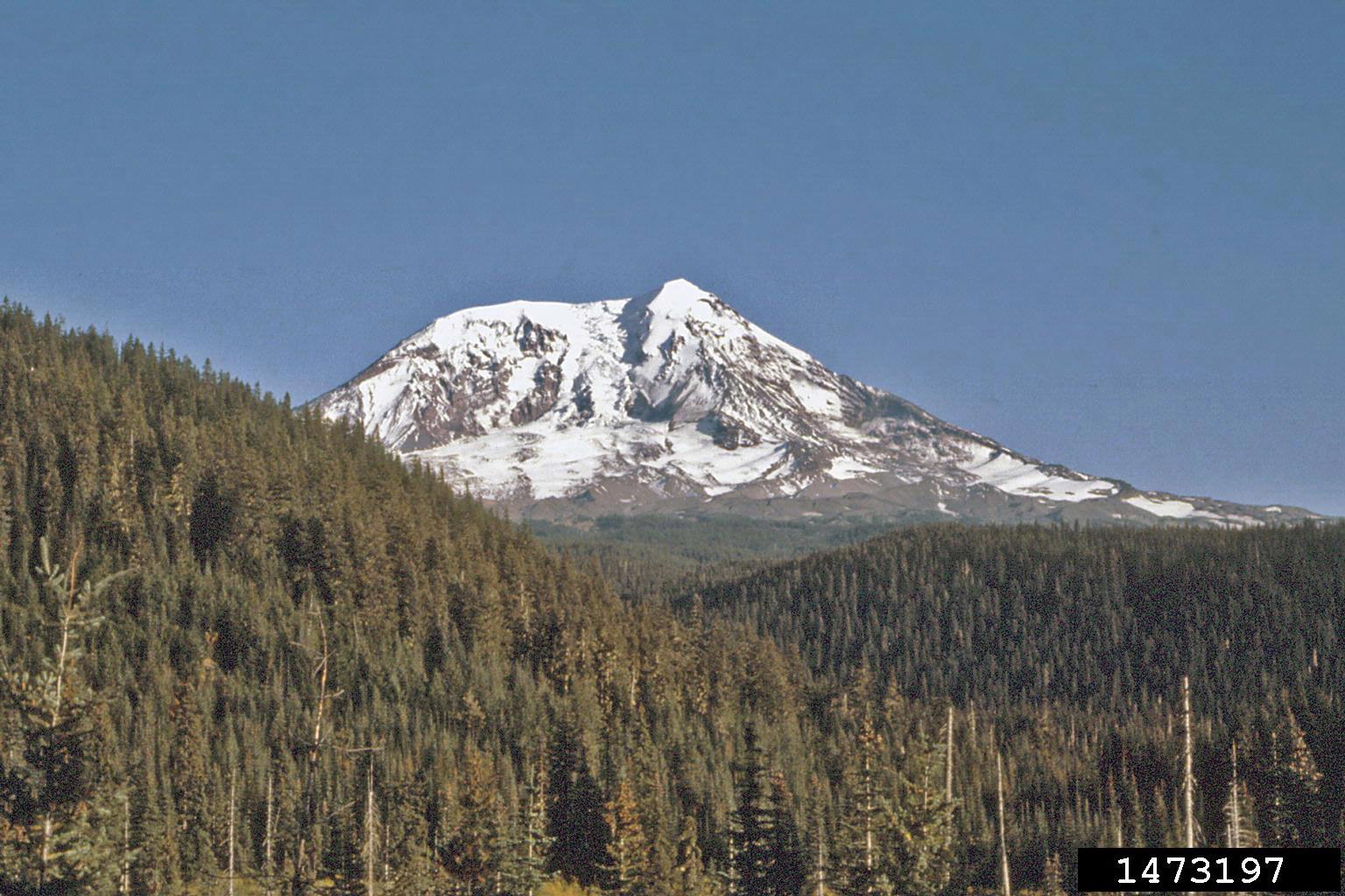 Synonym for Mountains (mountain)