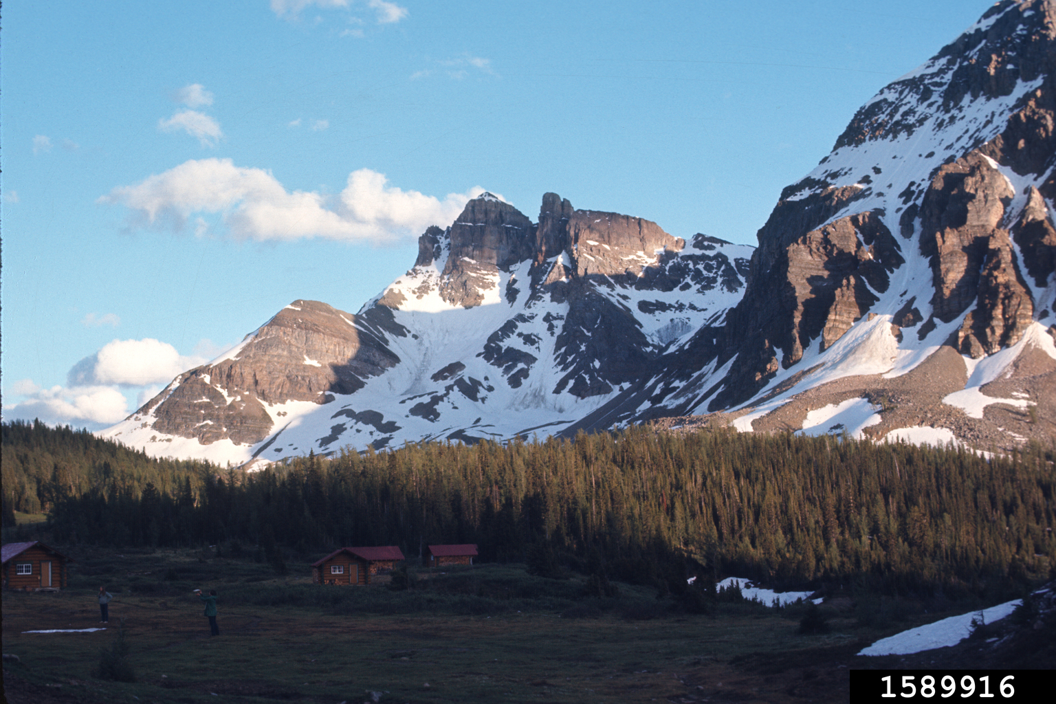 Synonym for Mountains (mountain)