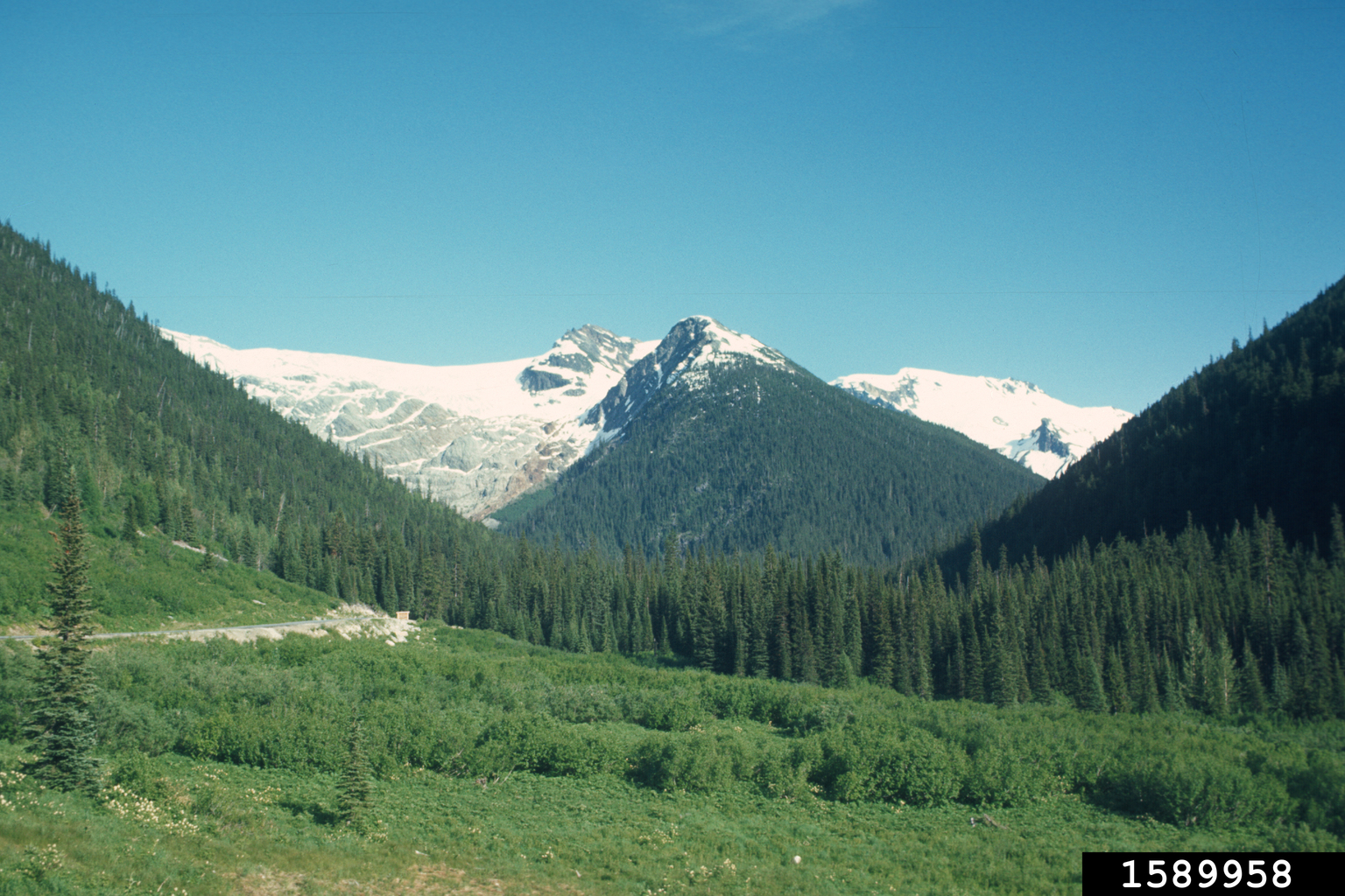 Synonym for Mountains (mountain)