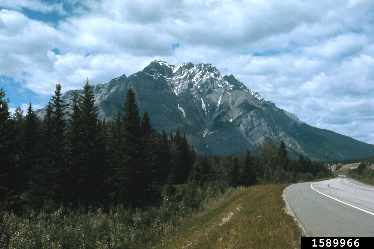 Synonym for Mountains (mountain)