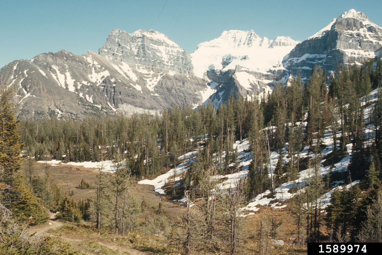 Synonym for Mountains (mountain)