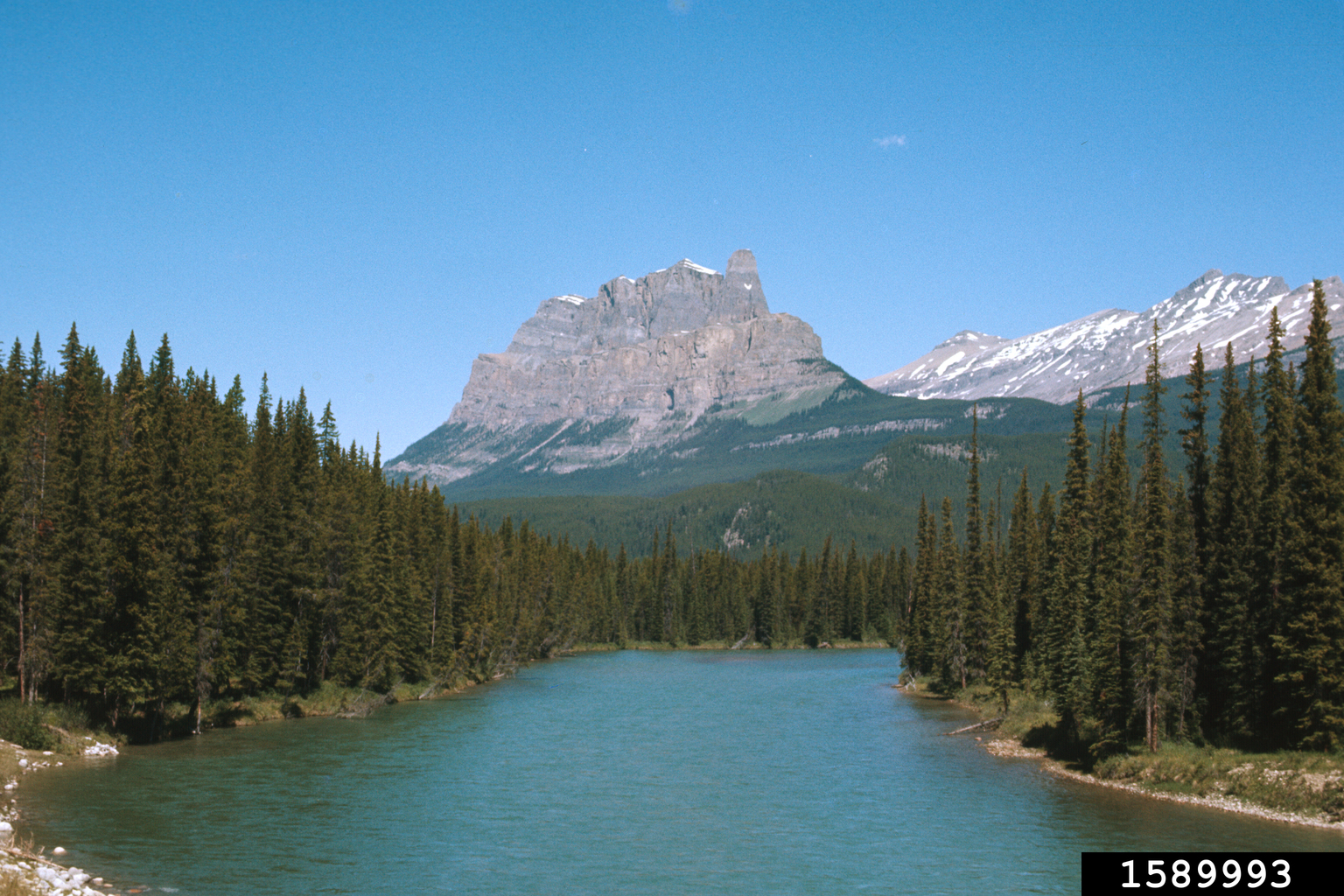 Synonym for Mountains (mountain)