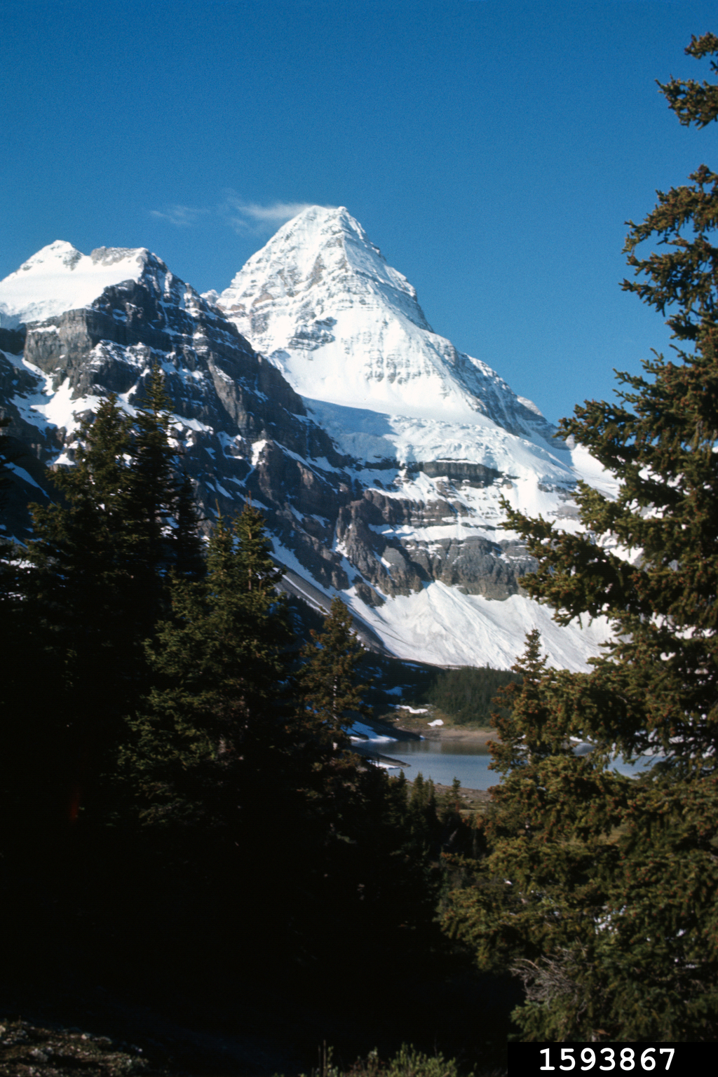 Synonym for Mountains (mountain)