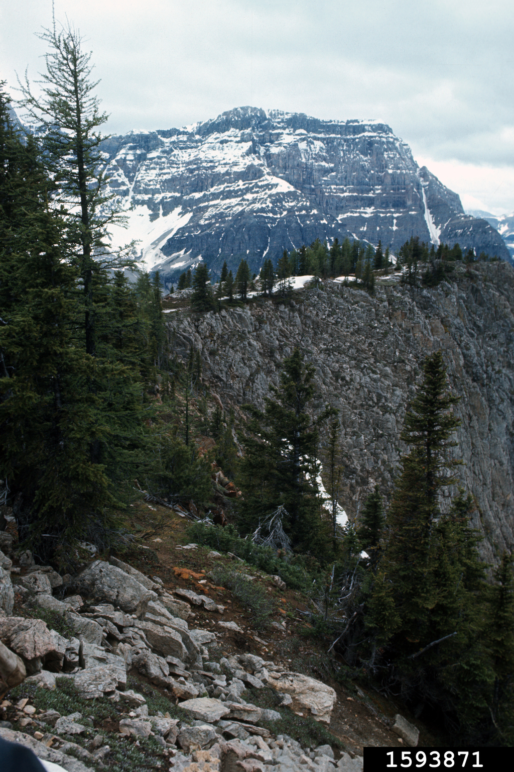 Synonym for Mountains (mountain)