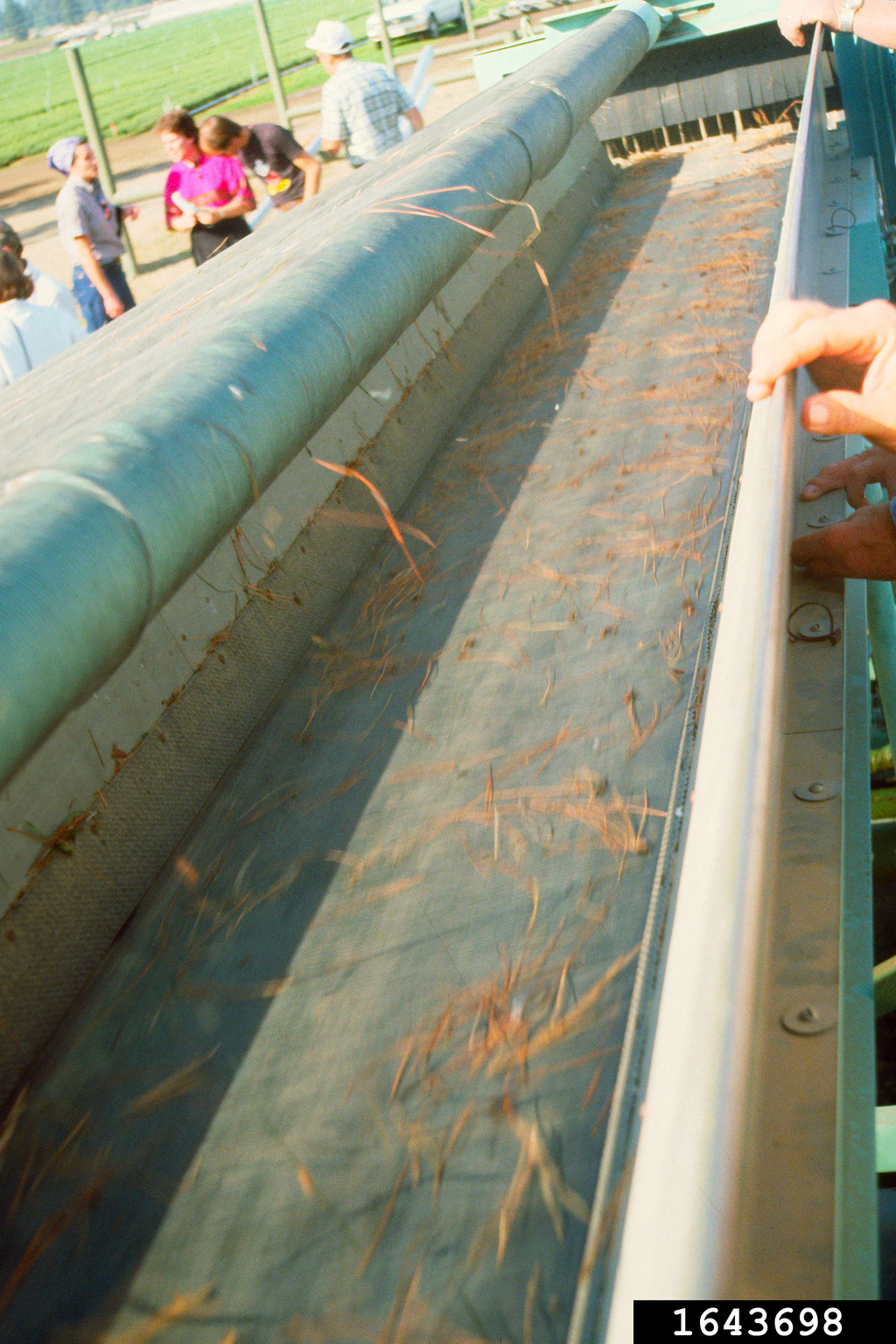 seed orchard/seed production areas