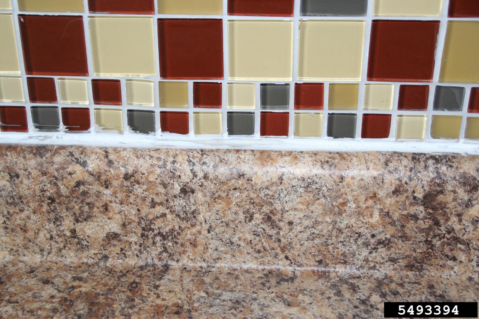 kitchen (residential)-5493394