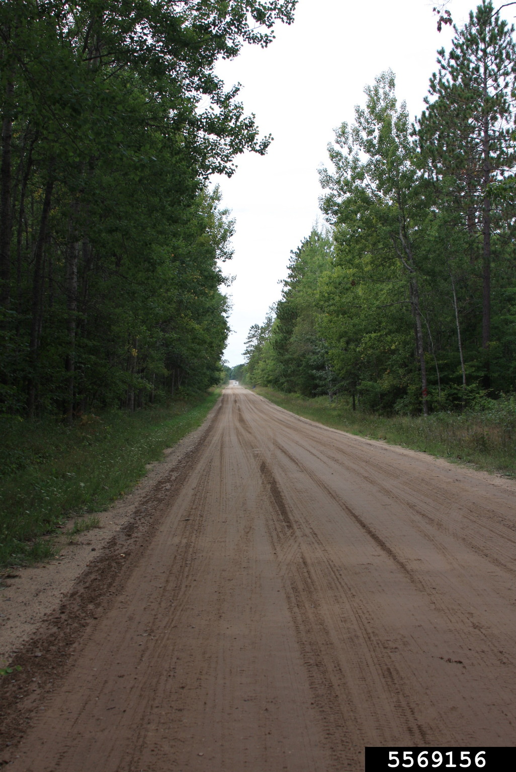 unpaved roads and trails