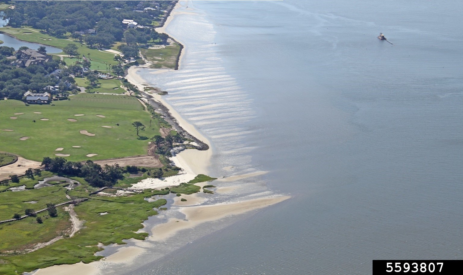 coasts and oceans