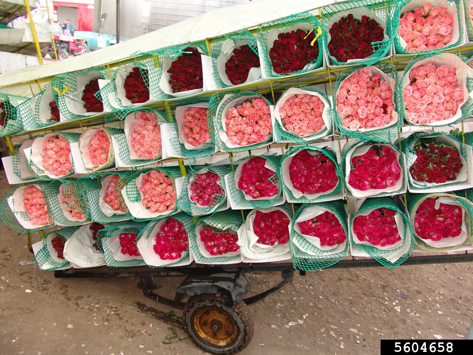 farm equipment