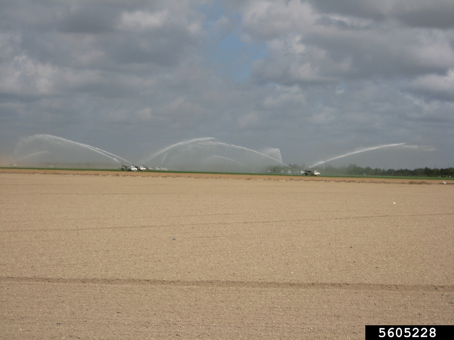 irrigation