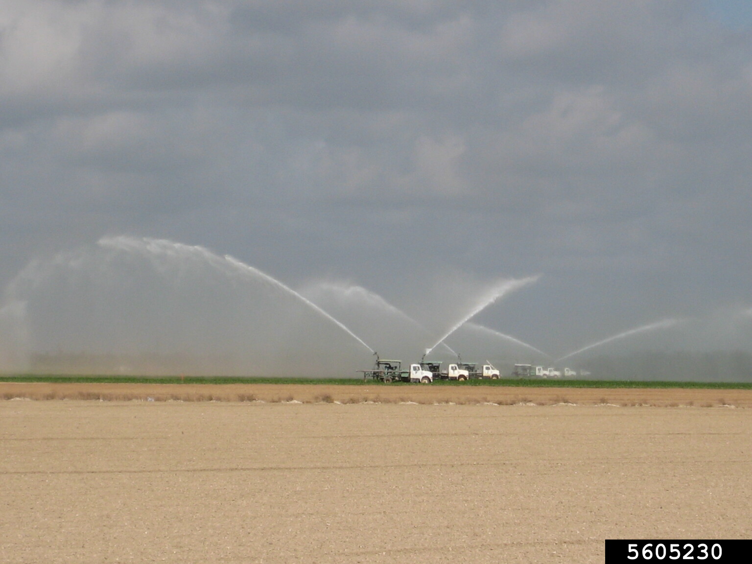 irrigation