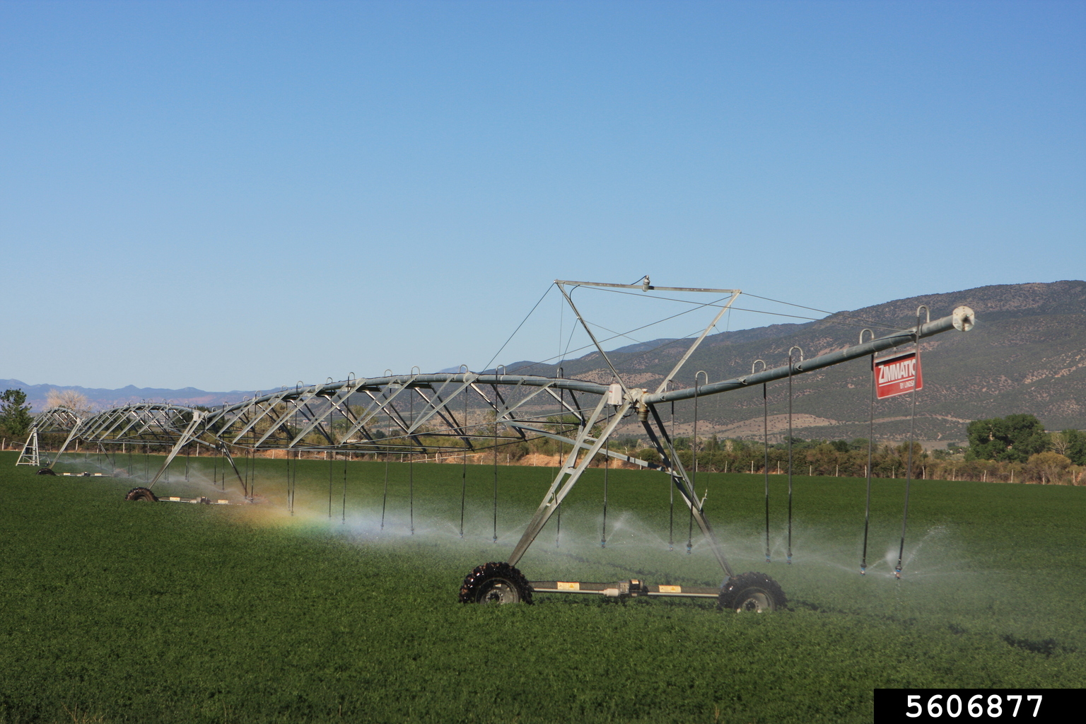 irrigation