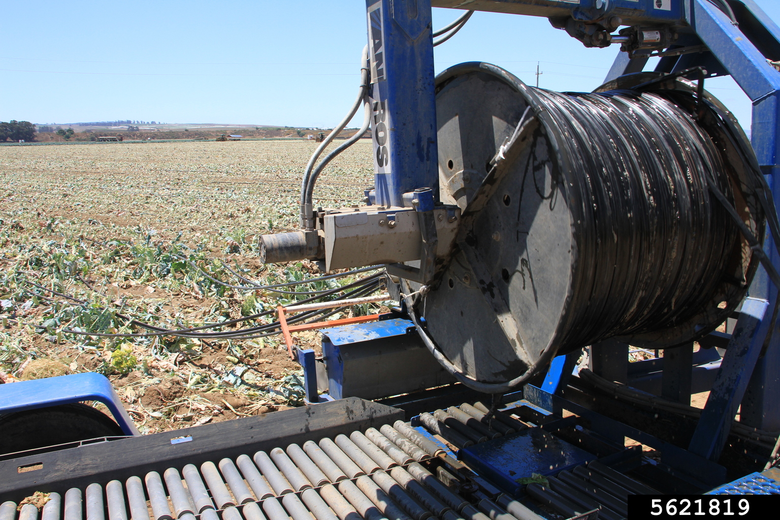 irrigation