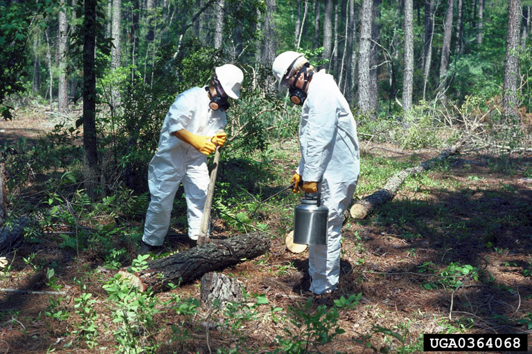 Control Procedures - Bugwoodwiki