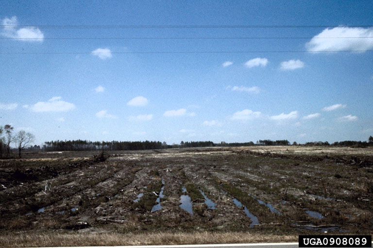 ripping/furrowing/bedding