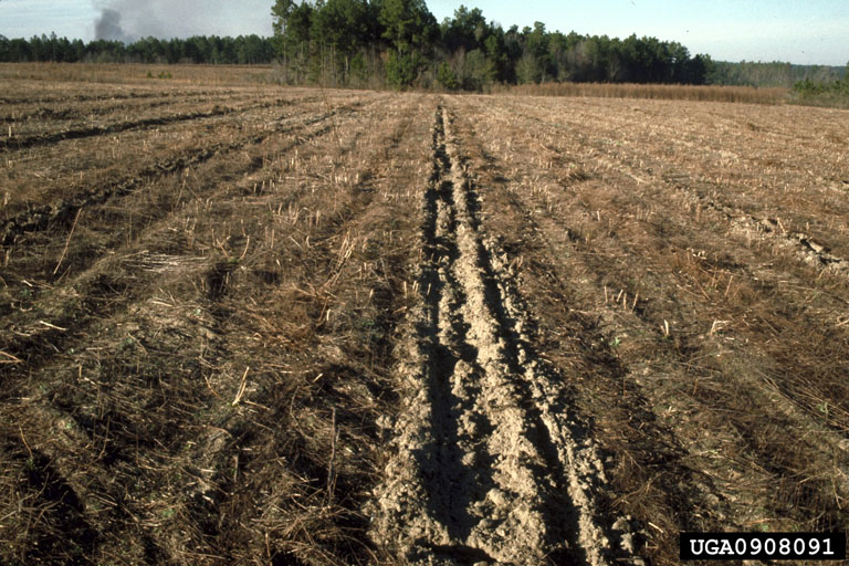 ripping/furrowing/bedding