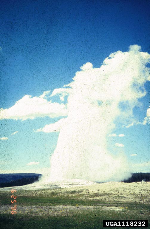 geysers