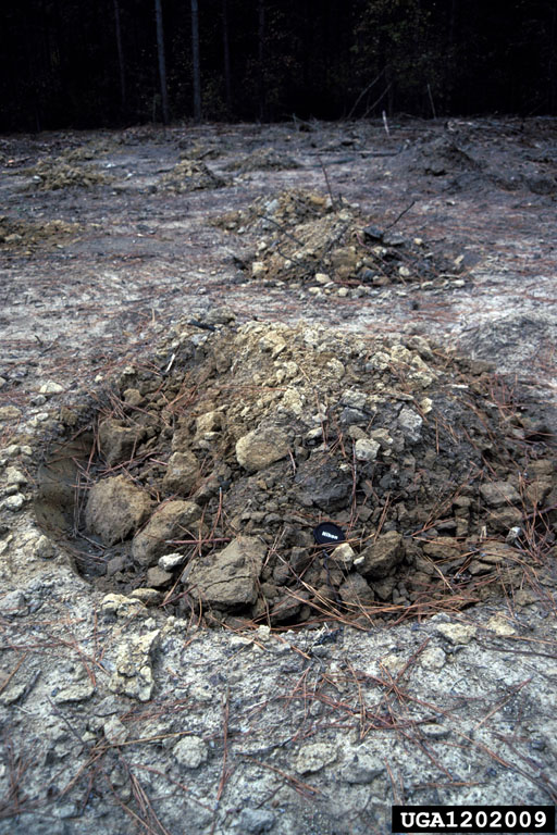 ripping/furrowing/bedding