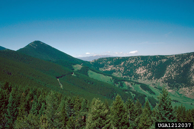 Synonym for Mountains (mountain)