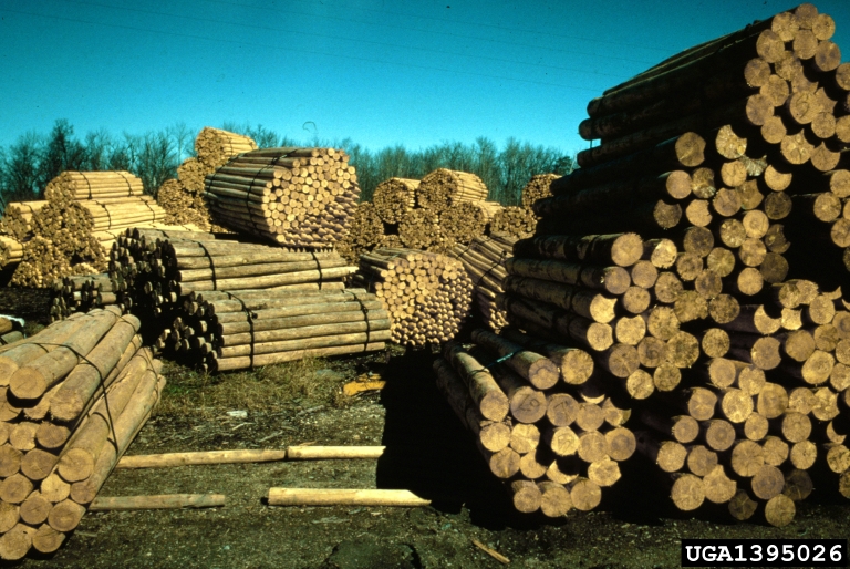 poles, posts, pilings