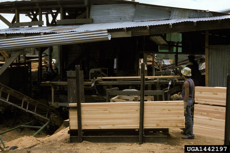 processing/manufacturing