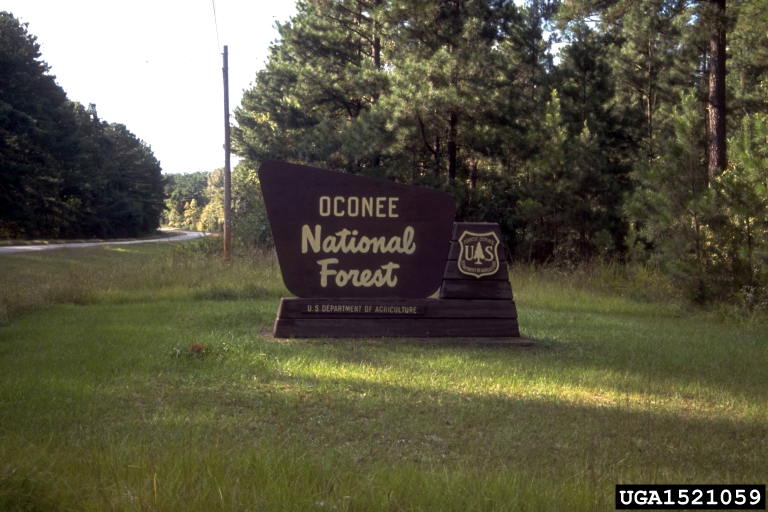 Oconee National Forest