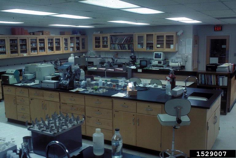 laboratory