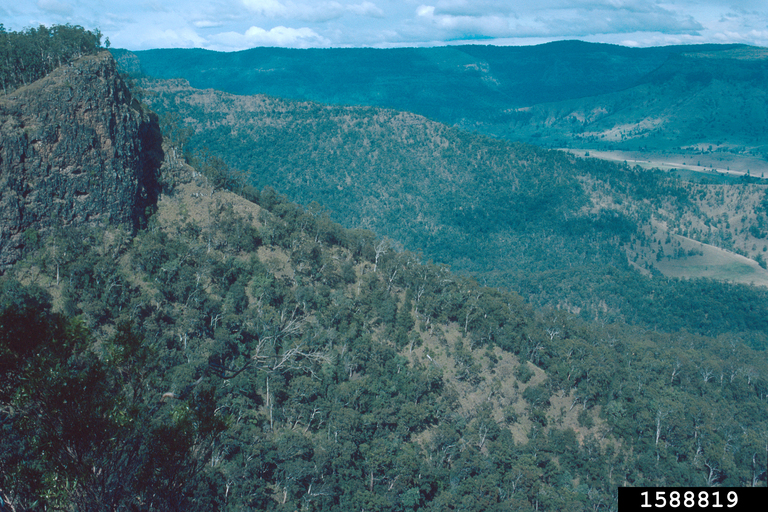 Synonym for Mountains (mountain)