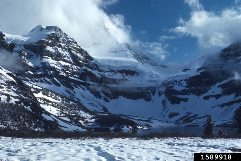 Synonym for Mountains (mountain)