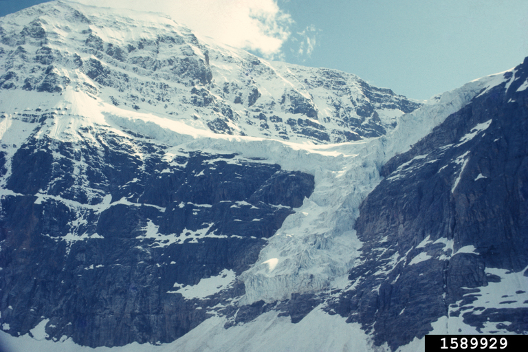 Synonym for Mountains (mountain)