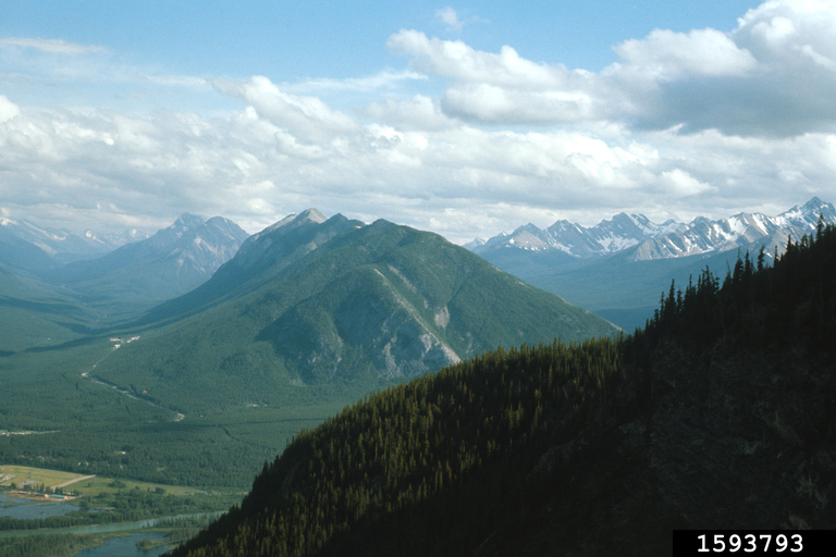 Synonym for Mountains (mountain)