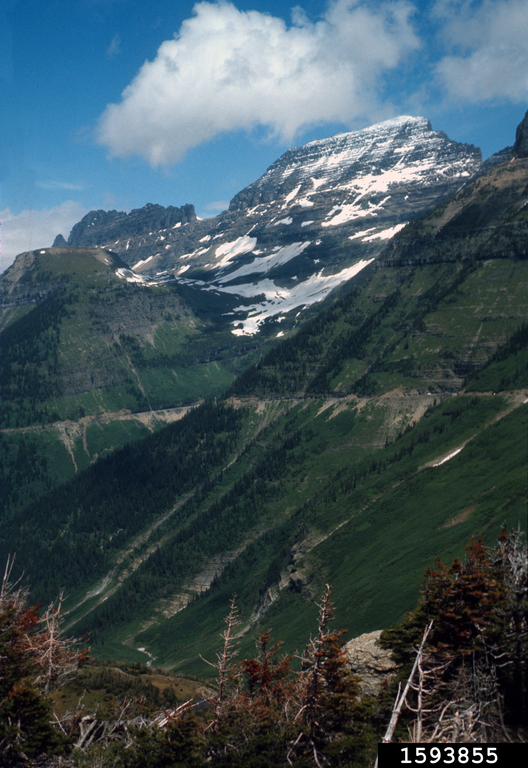 Synonym for Mountains (mountain)