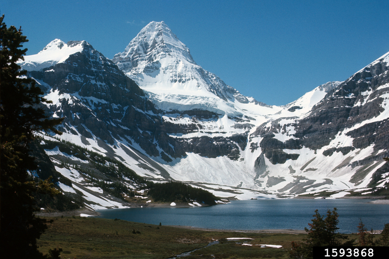 Synonym for Mountains (mountain)