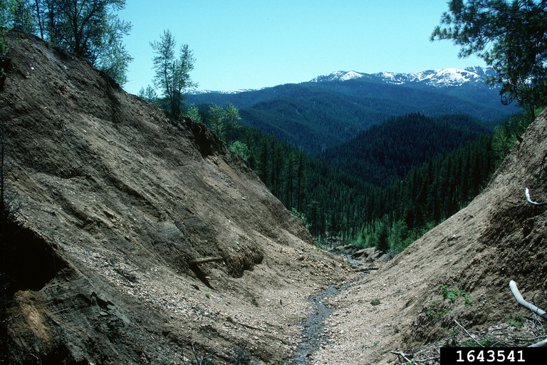 mud/land slides, (Terrestrial weather: Other natural phenomena) - 1643541