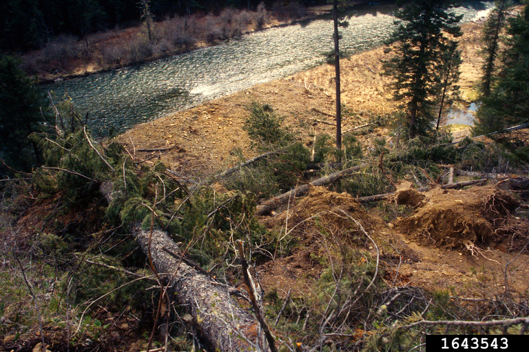 mud/land slides, (Terrestrial weather: Other natural phenomena) - 1643543