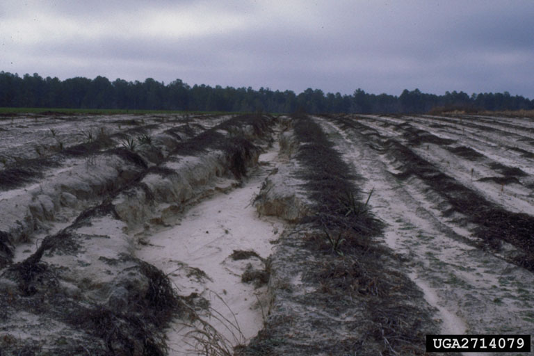 ripping/furrowing/bedding