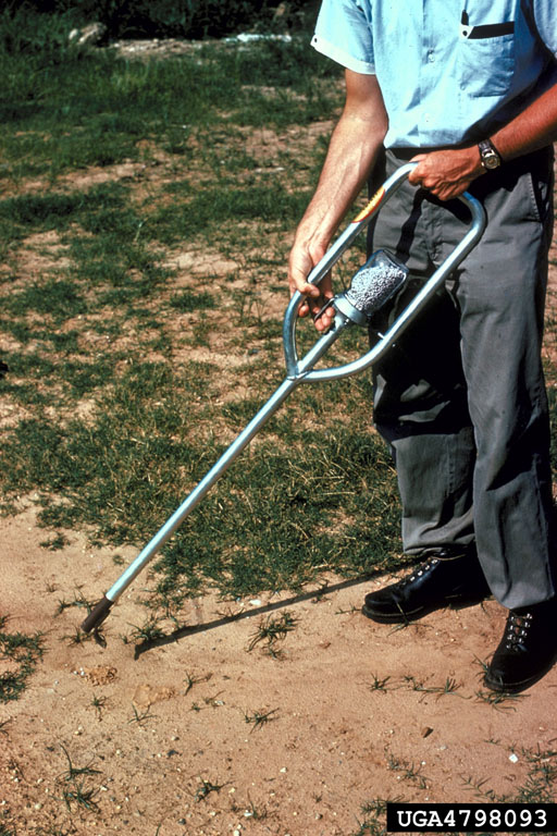 direct seeding