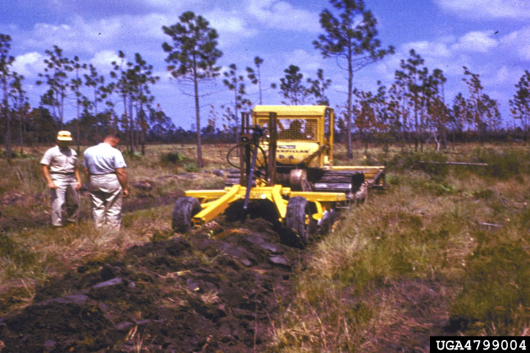 ripping/furrowing/bedding