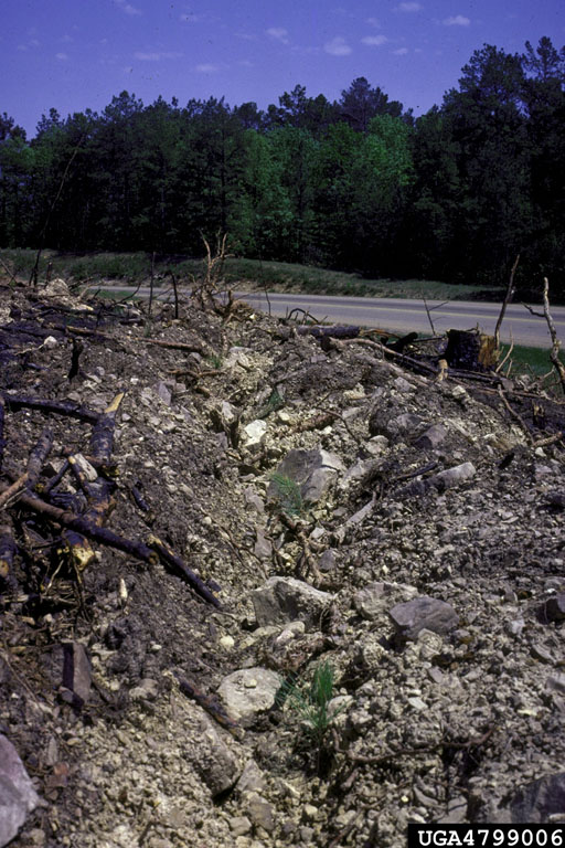 ripping/furrowing/bedding