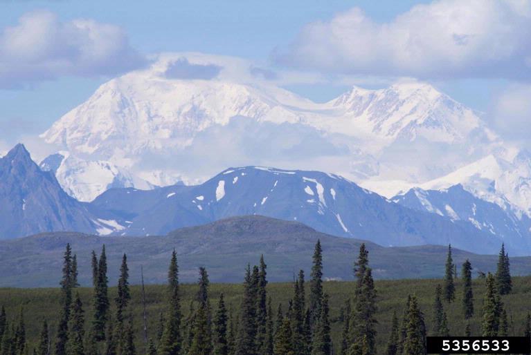 Synonym for Mountains (mountain)