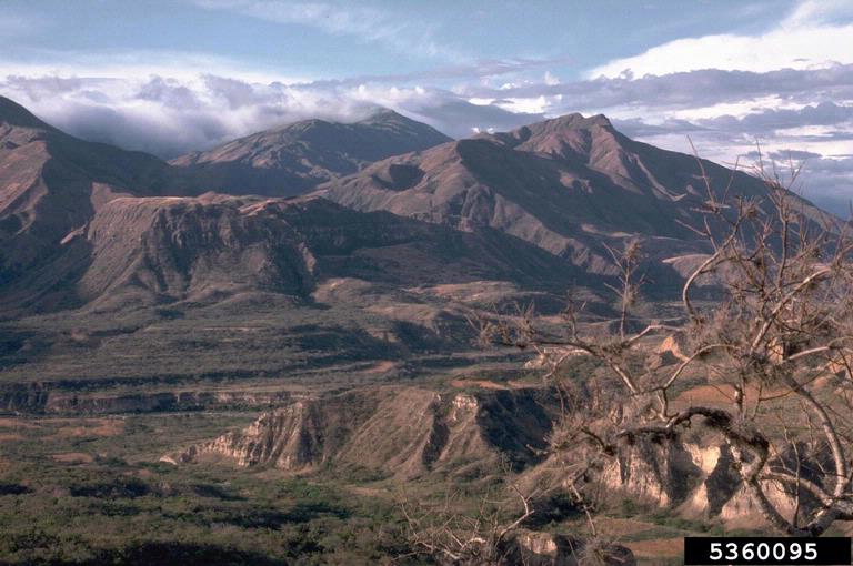 Synonym for Mountains (mountain)