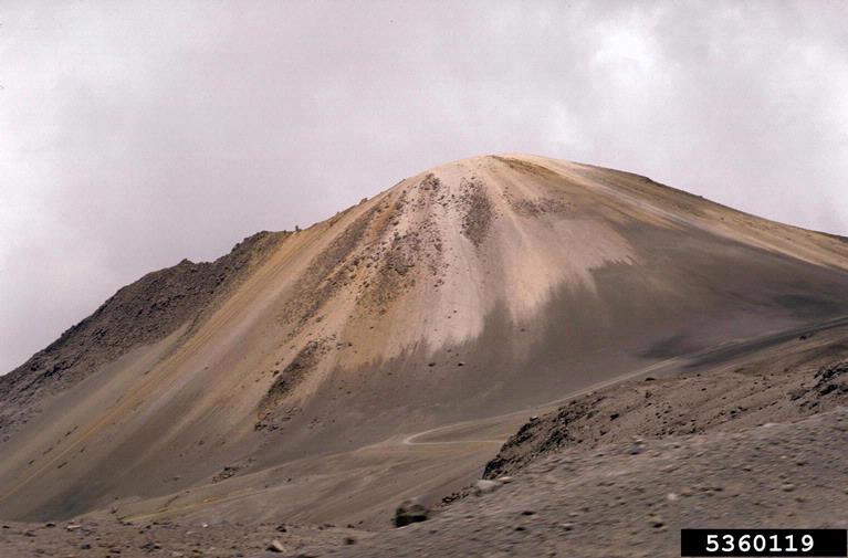 Synonym for Mountains (mountain)