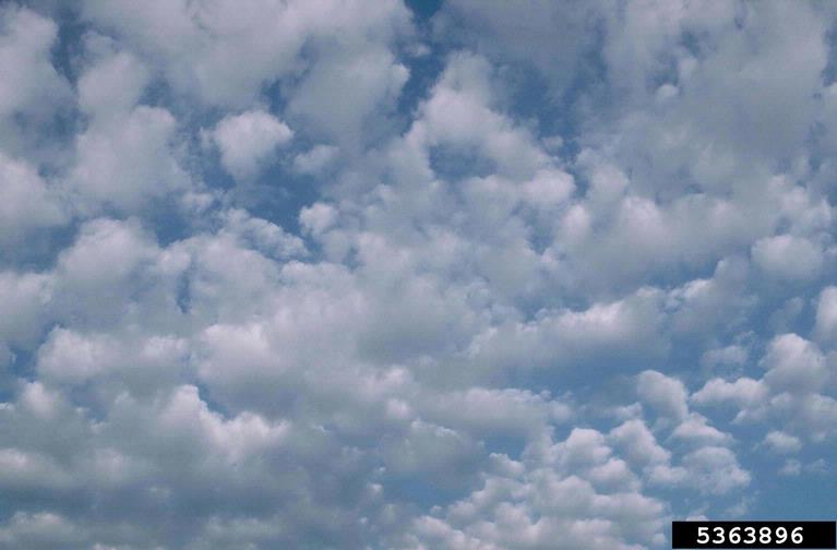 clouds, (Terrestrial weather: Other natural phenomena) - 5363896
