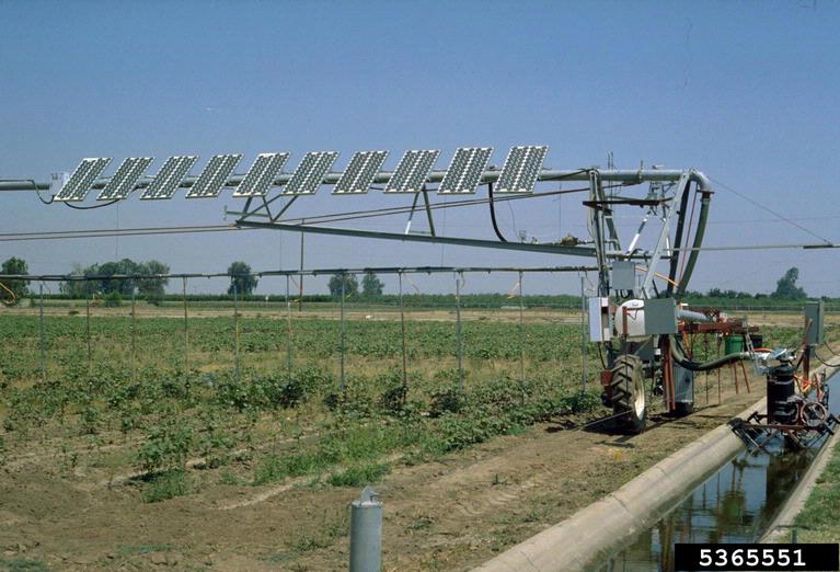 irrigation