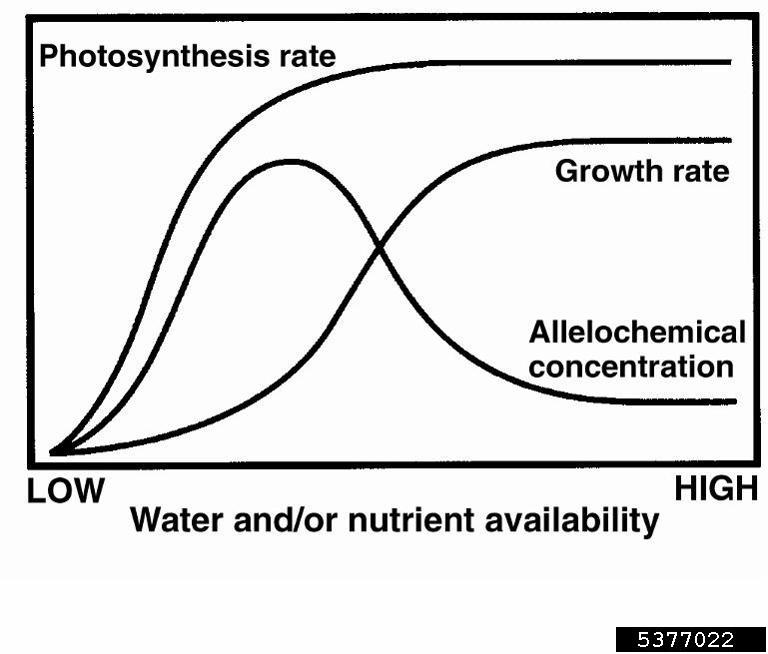 tree anatomy-5377022
