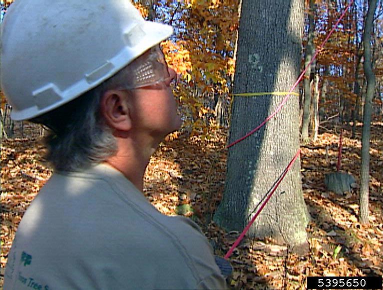 rigging friction device - 5395650